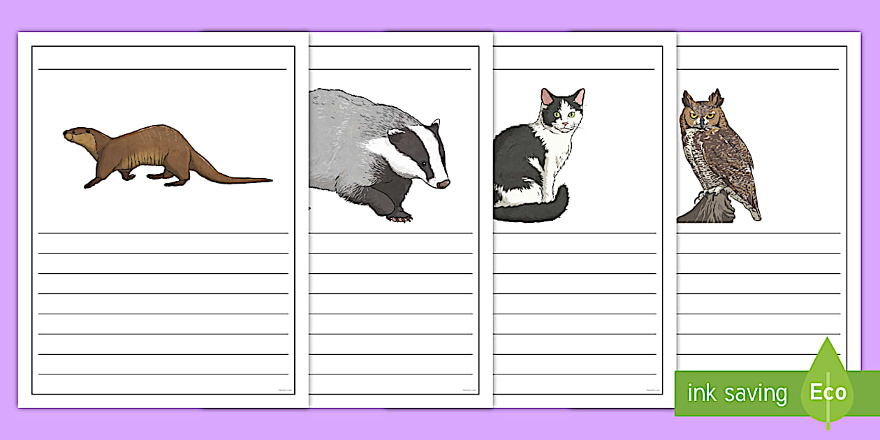 Editable Nocturnal Animal Writing Frames (teacher made)