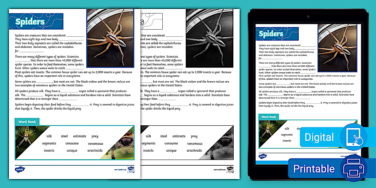 Fourth Grade Spiders Cloze Reading Worksheet (Teacher-Made)