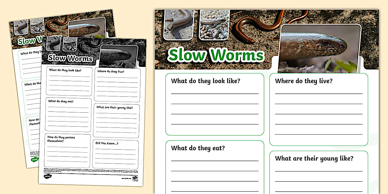 Slow Worm Fact File Template - Twinkl Writing (Teacher-Made)