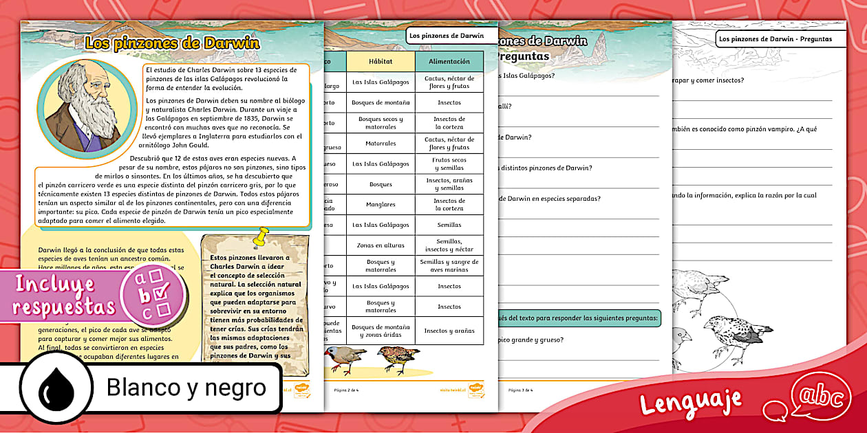 comprensión lectora | texto | informativo | leer | lenguaje