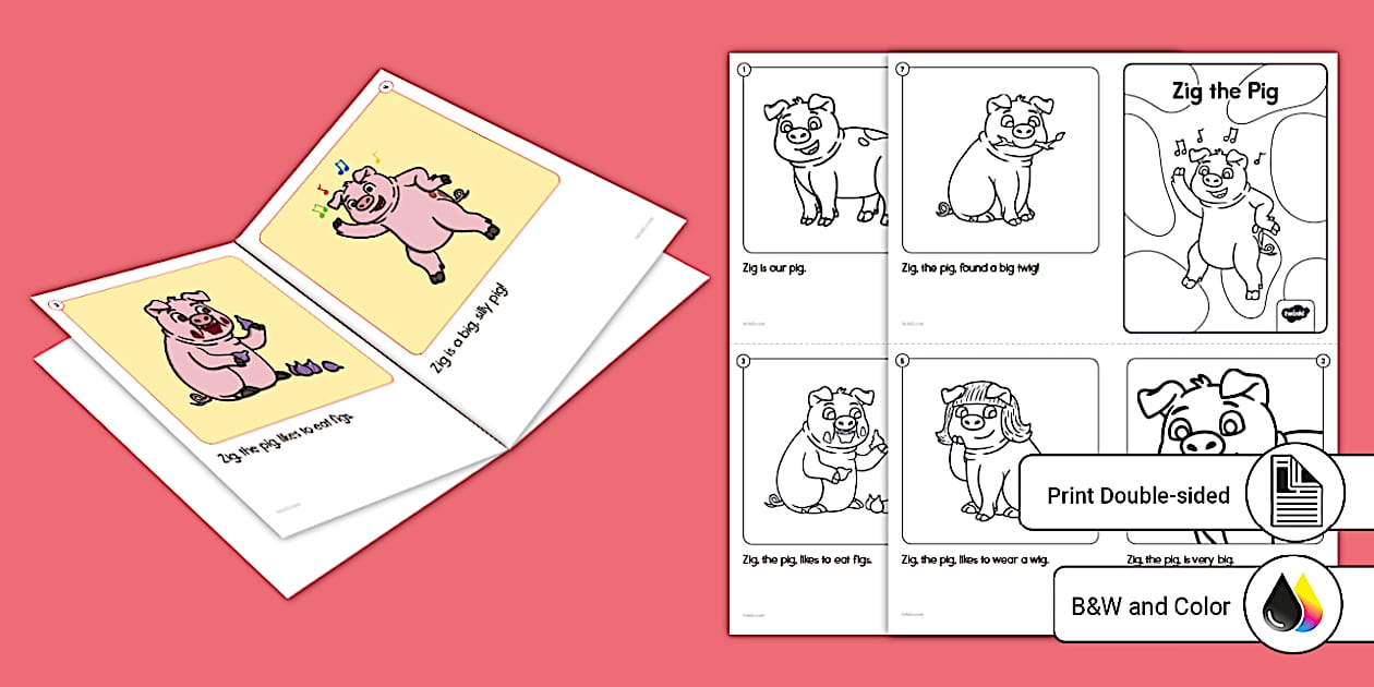 Zig the Pig -ig Word Family Emergent Reader (teacher made)