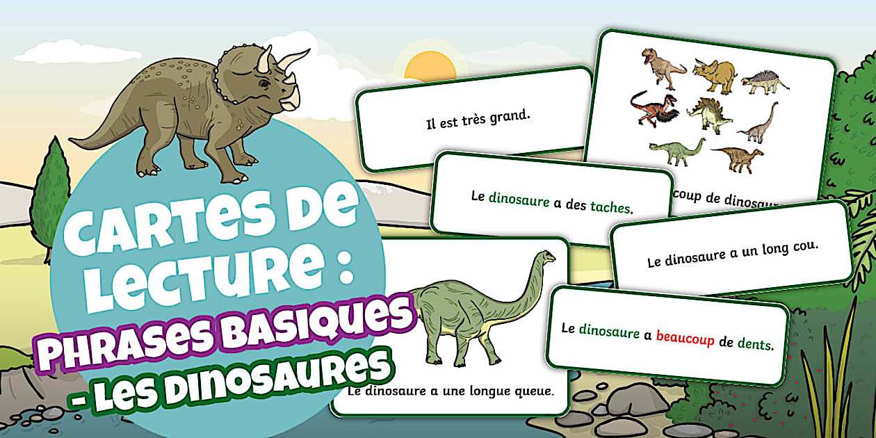 Cartes de lecture : Phrases basiques - Les dinosaures