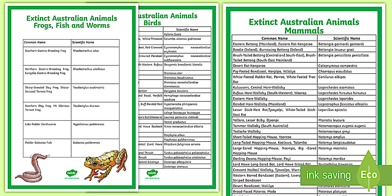 Extinct Australia Animals Display Posters (teacher made)