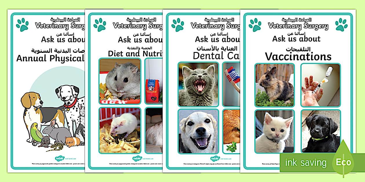 Vets Surgery Advice Display Posters English/Arabic - Twinkl