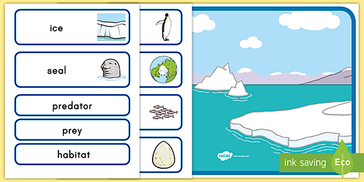 Penguin Anchor Chart and Word Cards Pack (Teacher-Made)