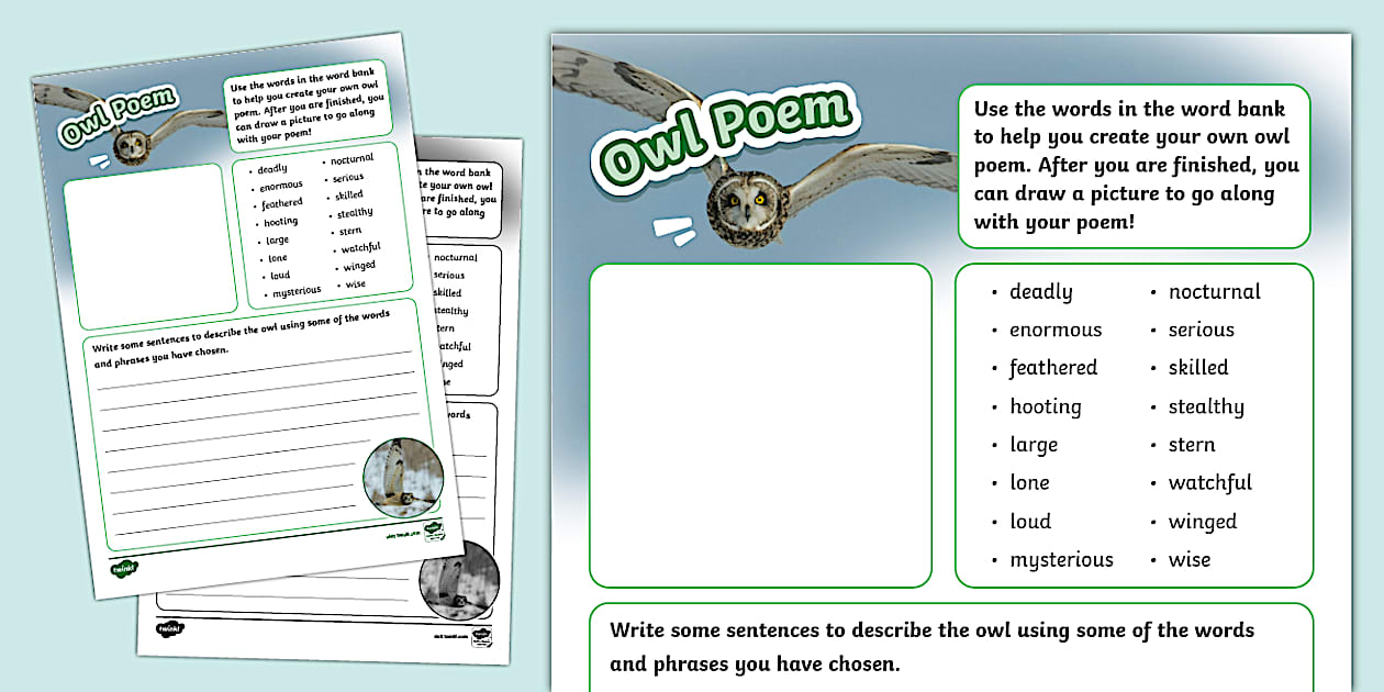 Owl Poem Writing Template (teacher made) - Twinkl