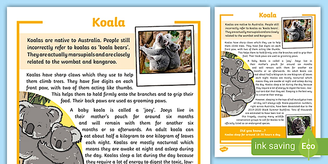 Koalas Fact Sheet - Information Report - Facts about Koalas
