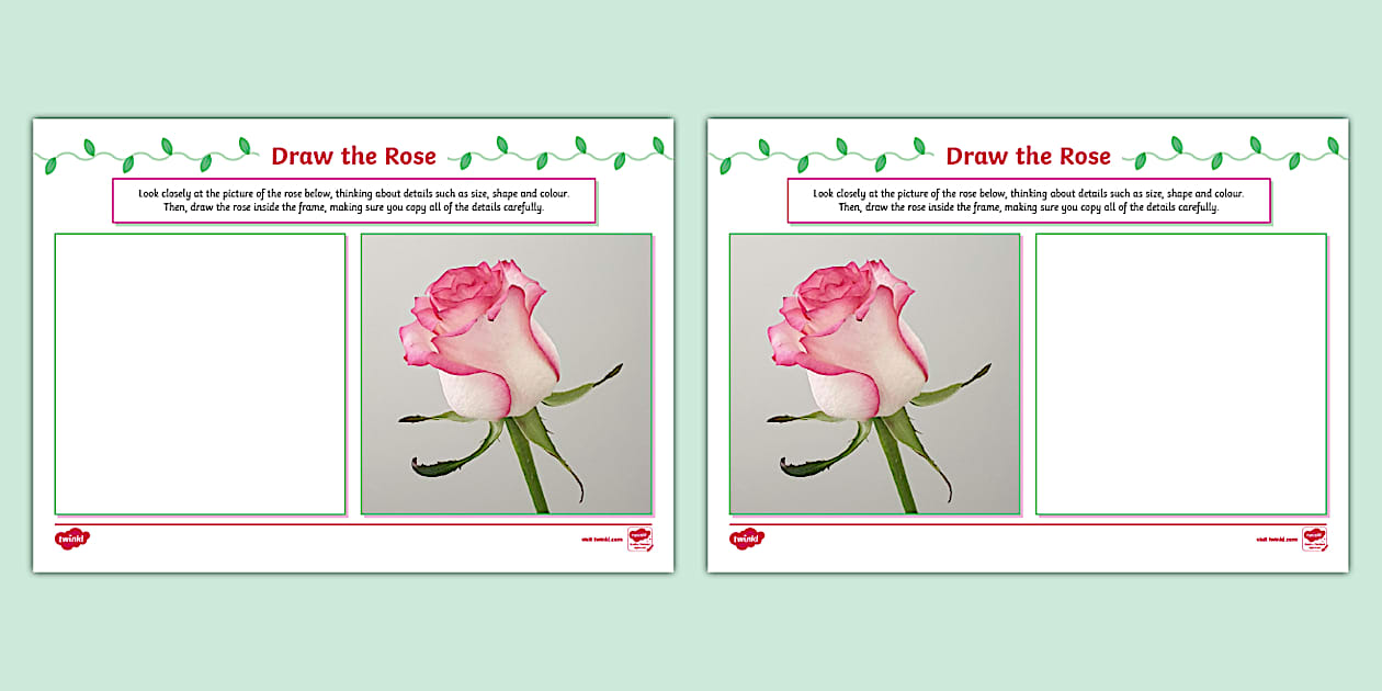 Draw the Rose Worksheet (teacher made) - Twinkl