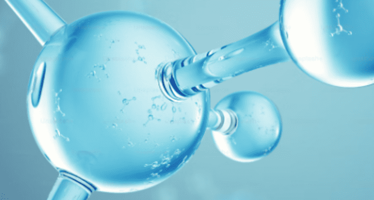 World Science Day for Peace and Development | Twinkl NZ
