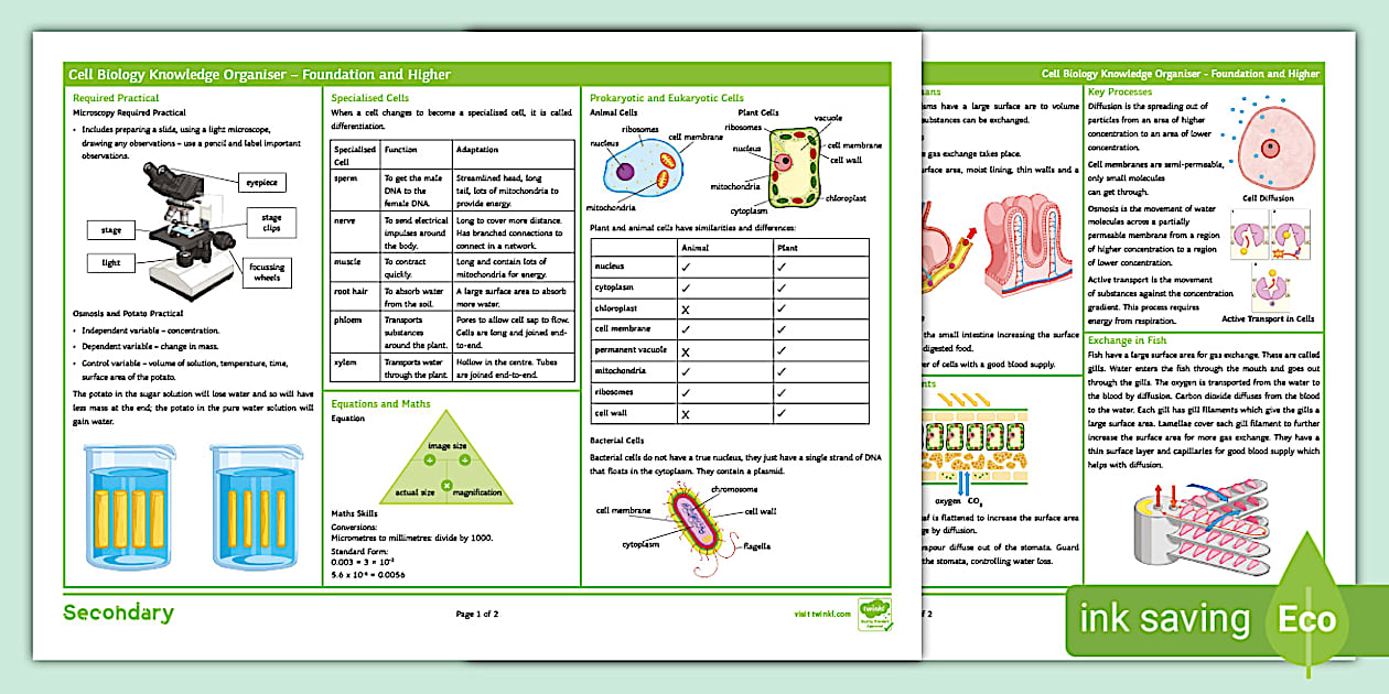 Editable AQA GCSE Biology 1: Cell Biology Knowledge Organiser (Combined)