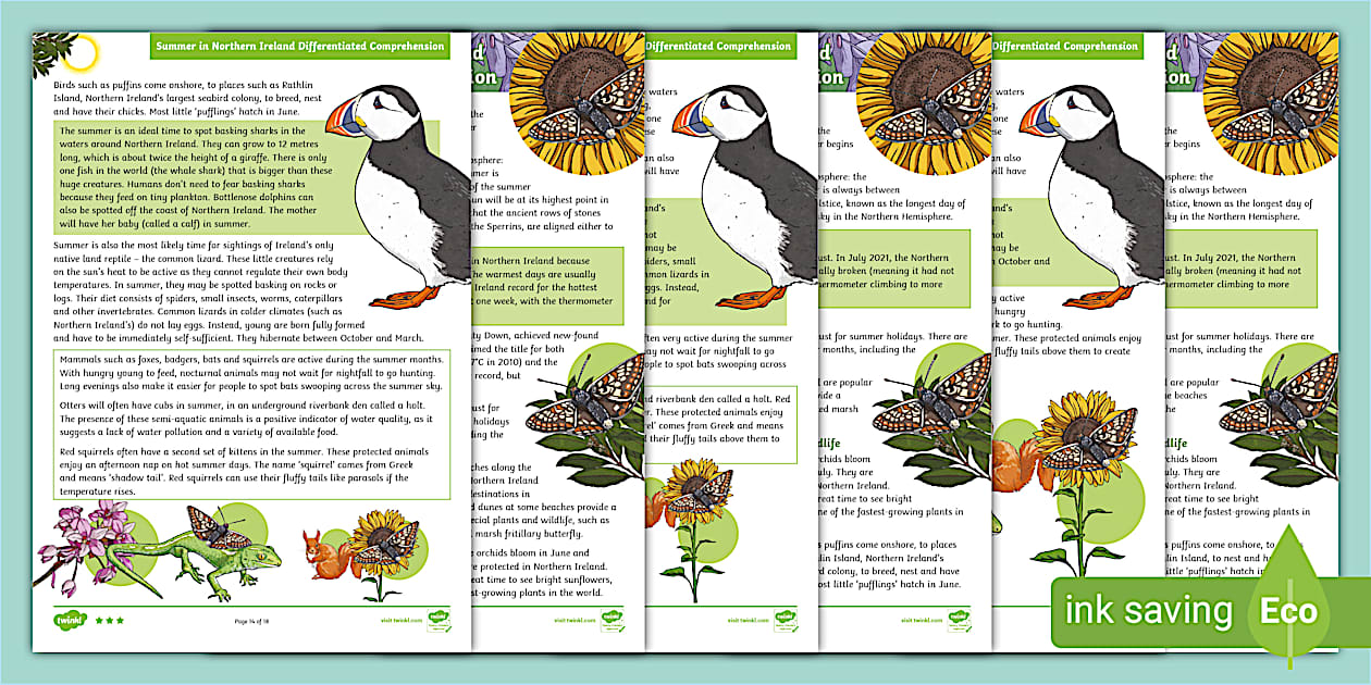 Summer Northern Ireland Differentiated Comprehension Activity