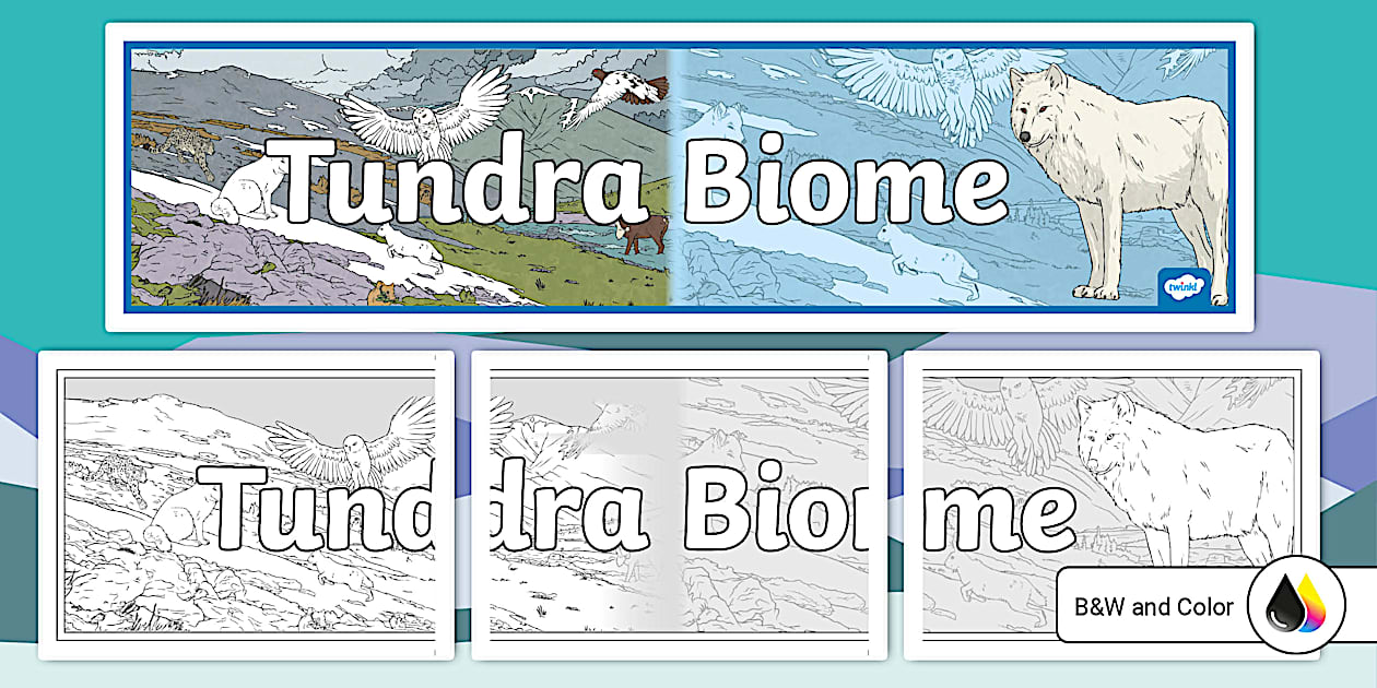 Tundra Biome Banner for 6th-8th Grade (teacher made)