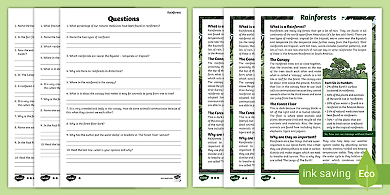 Amazon Rainforest Reading Comprehension KS2 - Resources