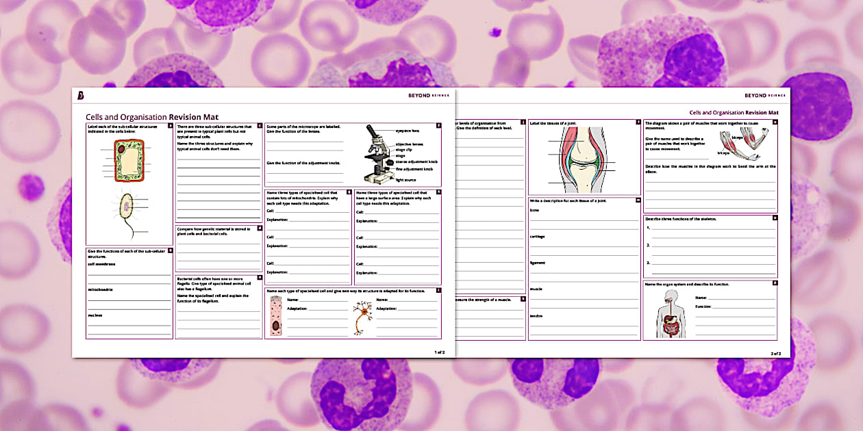 Cells and Organisation Revision Mat - Higher | Beyond