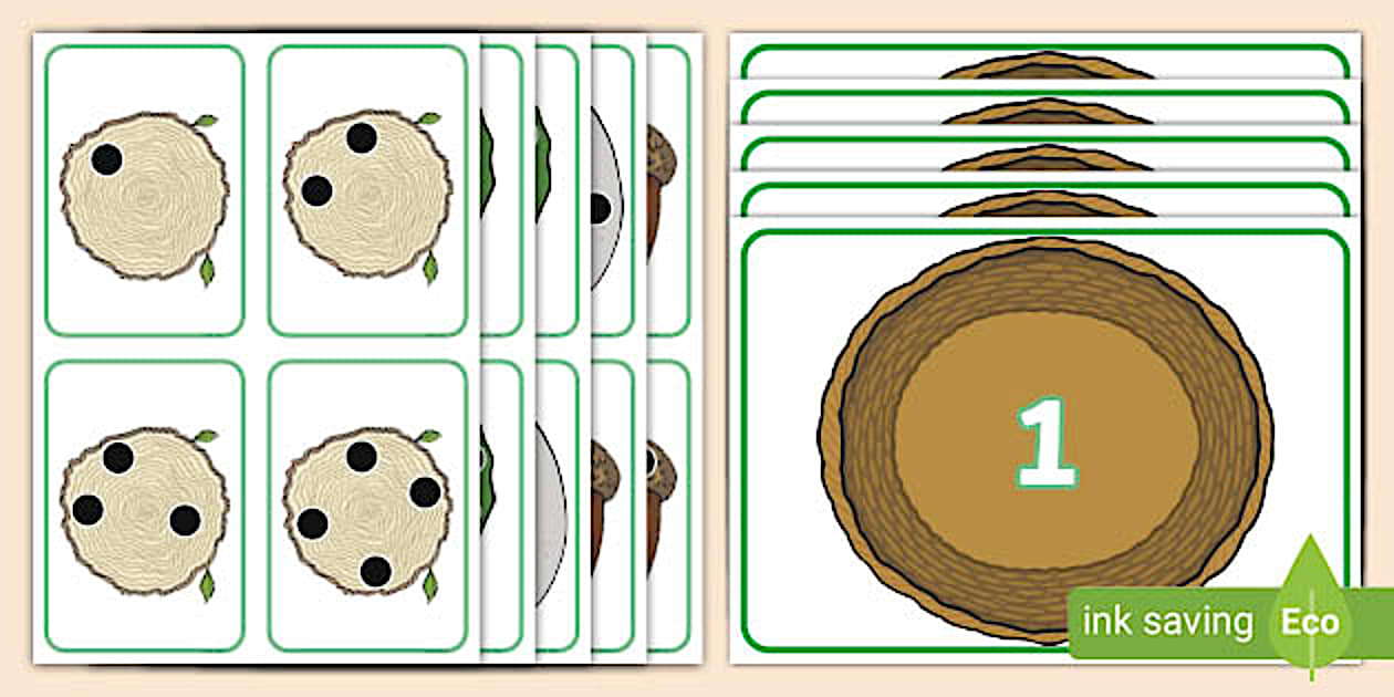 👉 Natural-Themed Subitise and Sort Activity - Twinkl