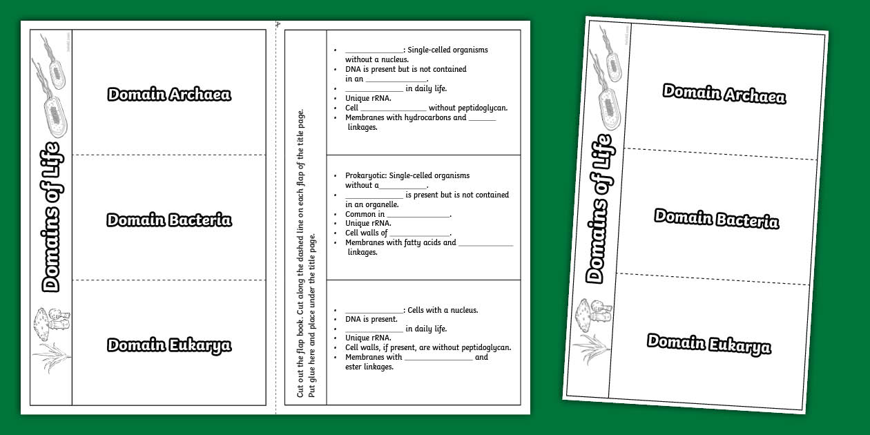 Sixth Grade Domains of Life Taxonomy Flap Book