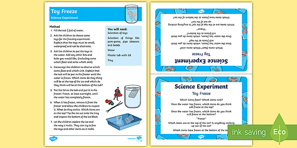 EYFS Toy Freeze Science Experiment and Prompt Card Pack