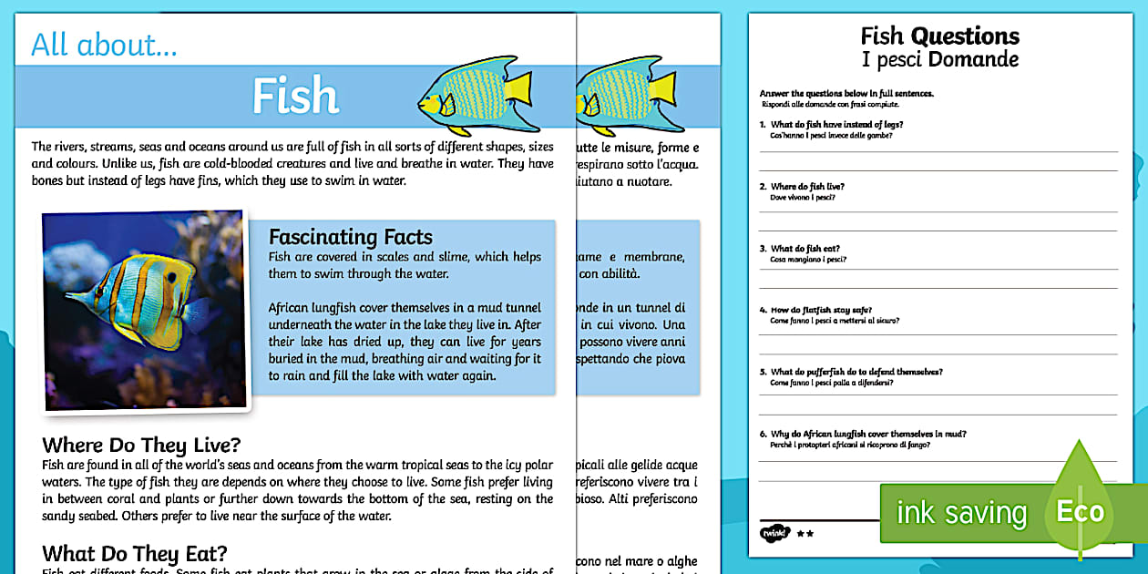 Higher Ability Fish Differentiated Comprehension Worksheets English/Italian