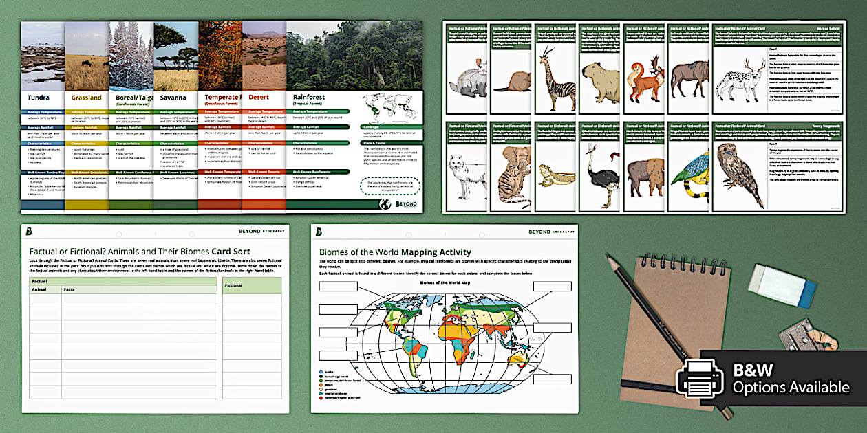KS3 Factual or Fictional? Animals and Their Biomes Activity