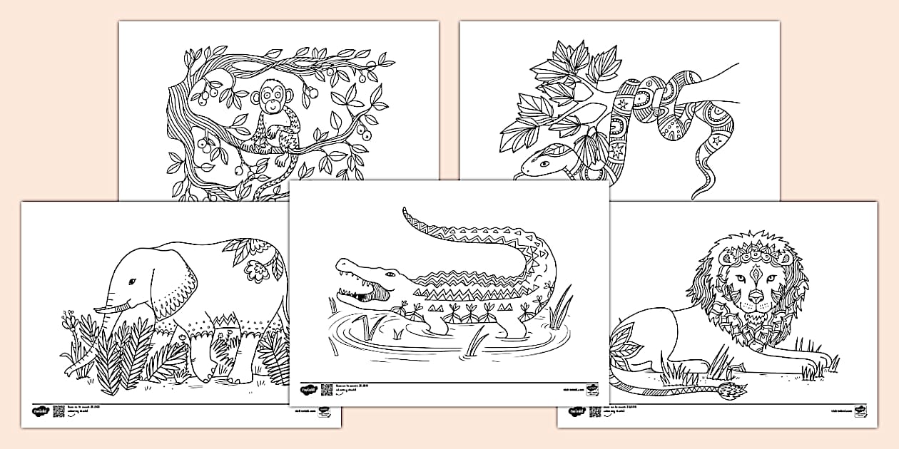 Jungle Animals Colouring Pictures for Kids (teacher made)