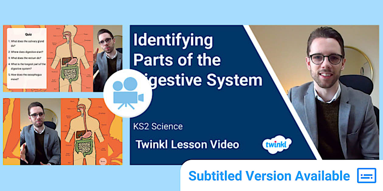 KS2 Science: The Digestive System Video Lesson 3 - Twinkl