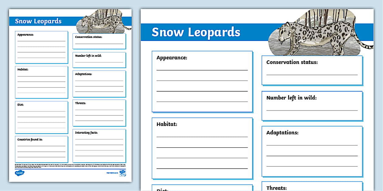 Snow Leopard Fact File Template - Leopard (teacher made)