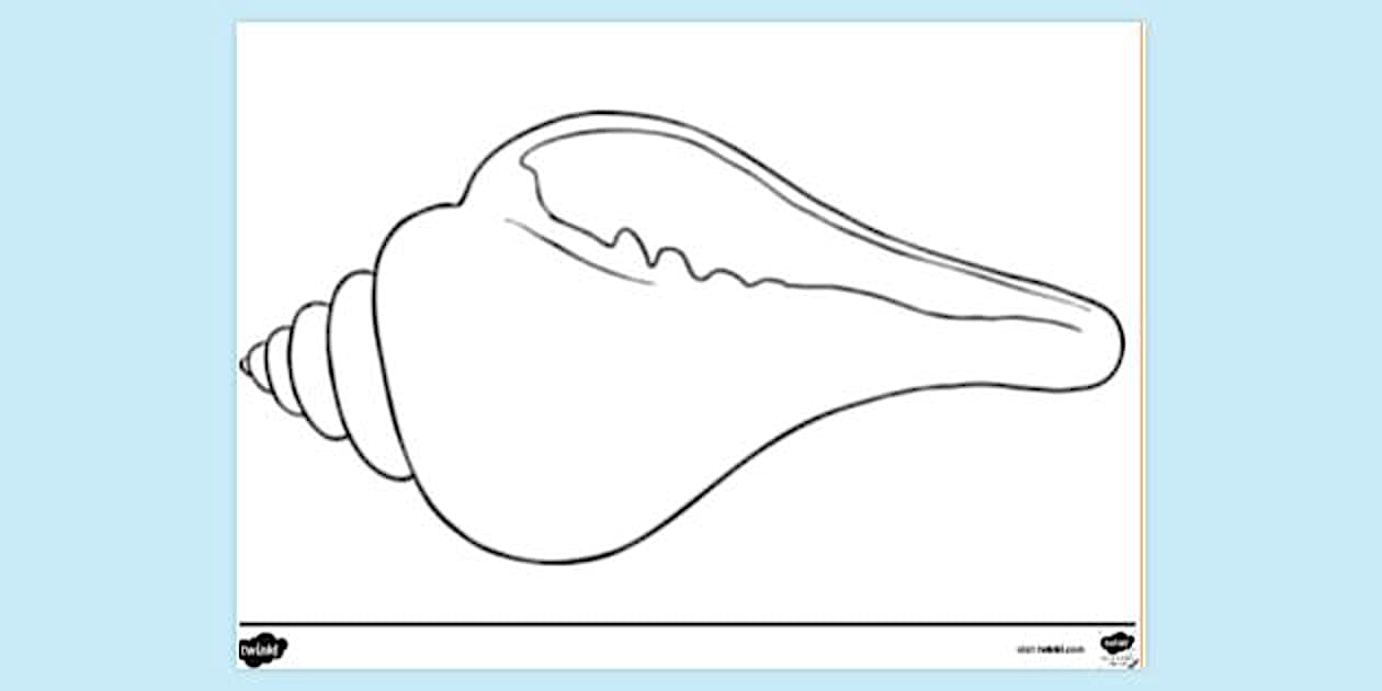 Conch Colouring | Colouring Sheets (teacher made) - Twinkl