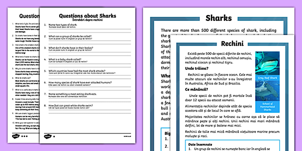 Sharks Differentiated Reading Comprehension Activity Romanian Translation