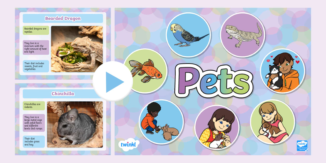 Pets Photo PowerPoint - Twinkl - KS1 (teacher made) - Twinkl