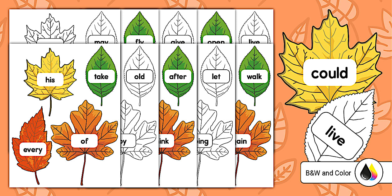 First Grade Sight Words on Fall Leaves (professor feito)