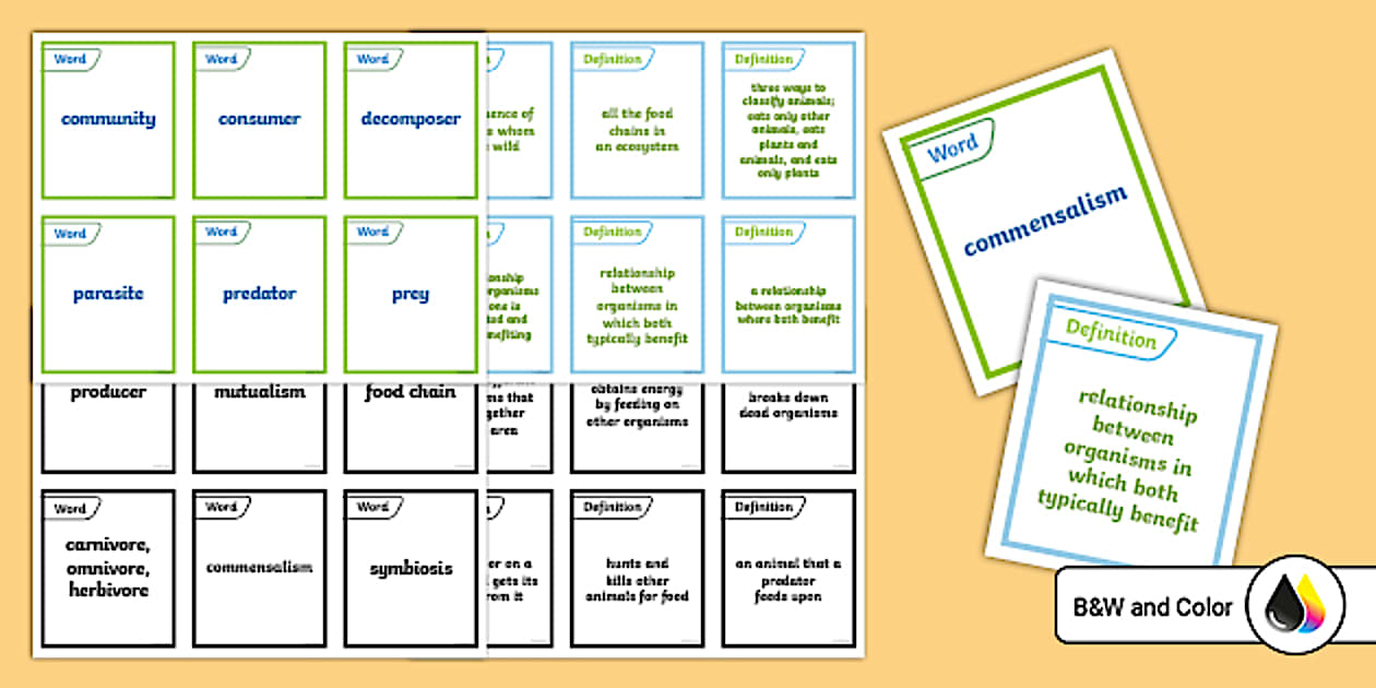 Ecology Vocabulary Matching Game (teacher made) - Twinkl