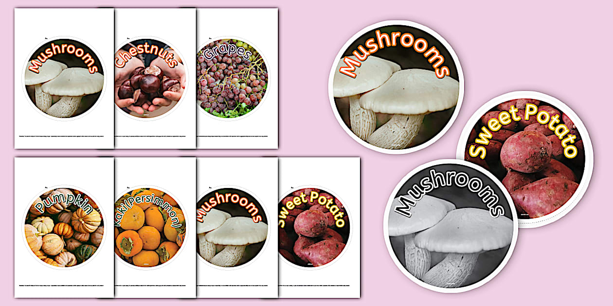 Fall Foods Circle Photo Display Cut-Outs