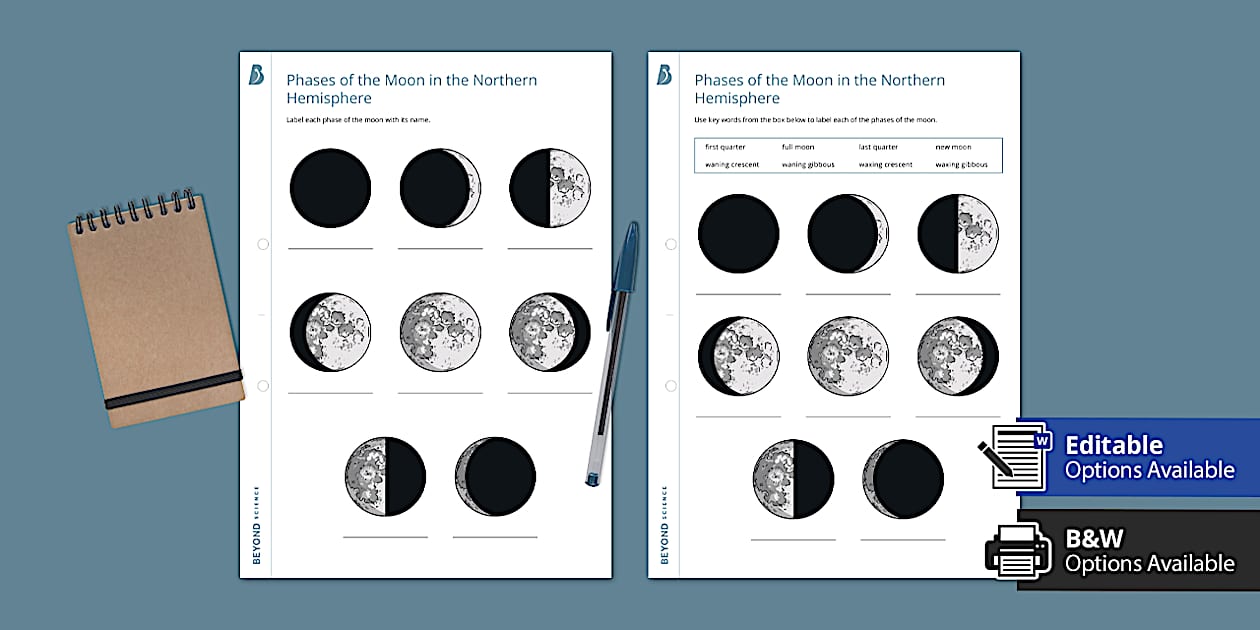 Phases of the Moon Homework Worksheet / Worksheet - Twinkl