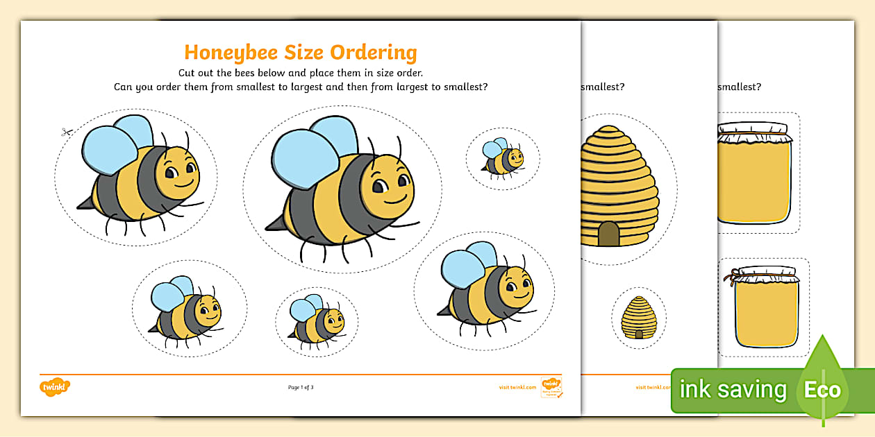 Honeybee Size Ordering Activity (teacher made) - Twinkl
