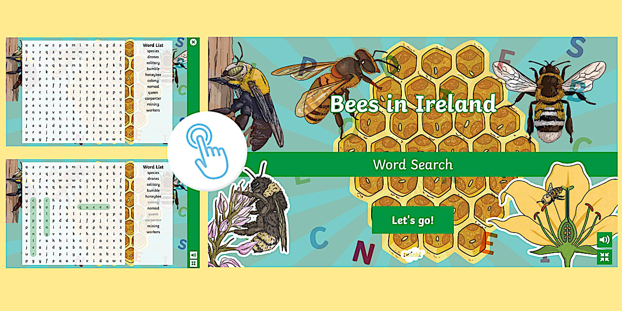 * NEW * Bees in Ireland Interactive Word Search - Twinkl