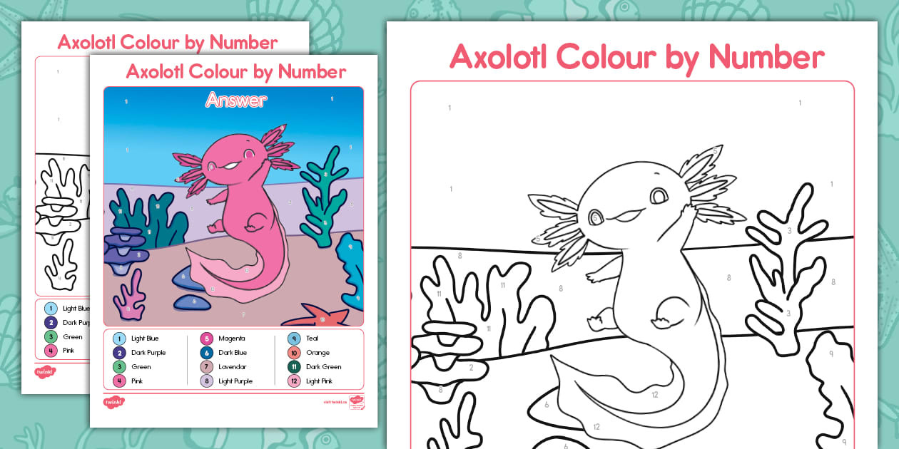 Axolotl Colour by Number Worksheet (teacher made) - Twinkl