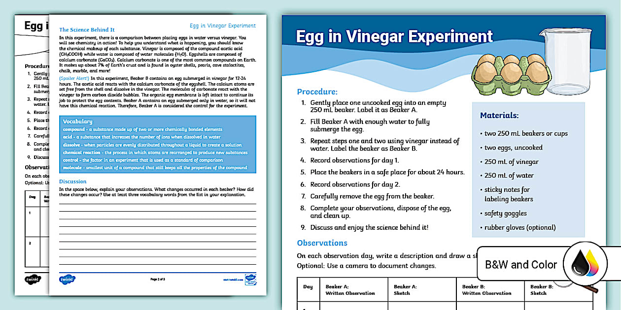 Egg in Vinegar Experiment Worksheet | 6th Grade | Twinkl