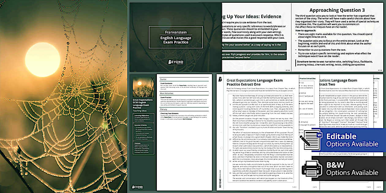 Great Expectations GCSE English Language Exam Practice Lesson Pack