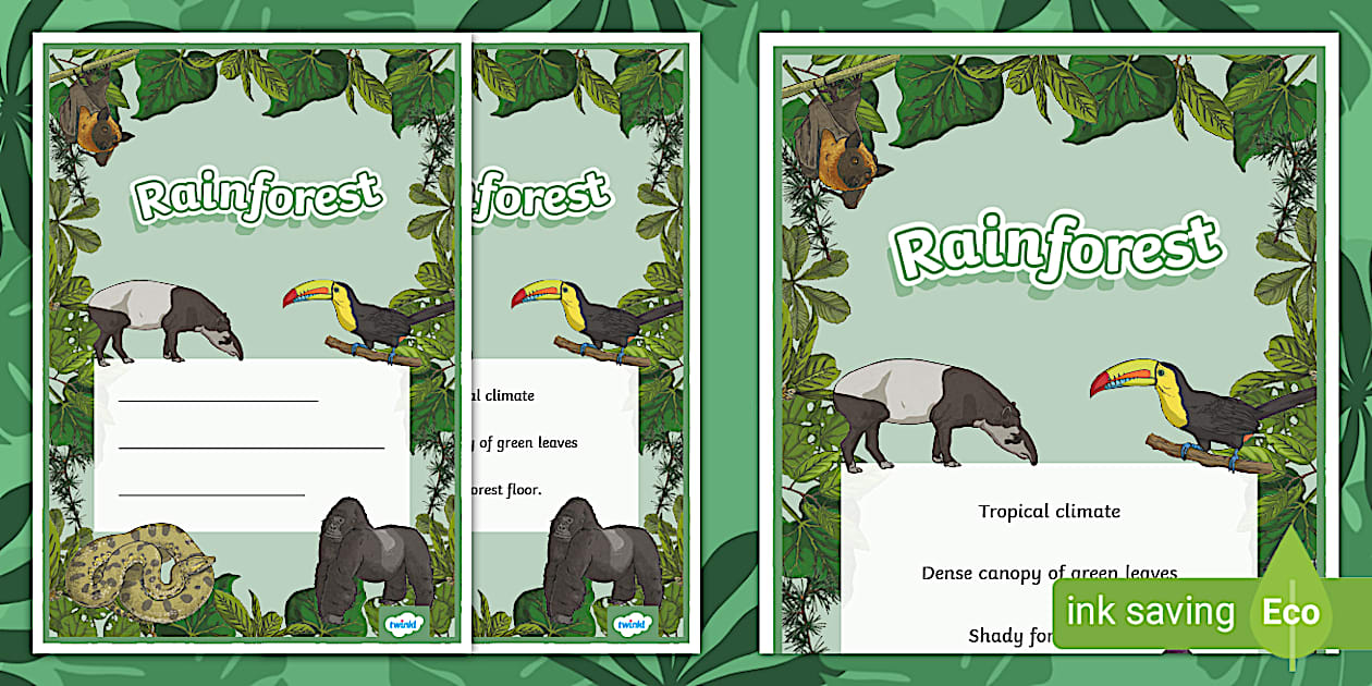 Rainforest Haiku Example (teacher made) - Twinkl