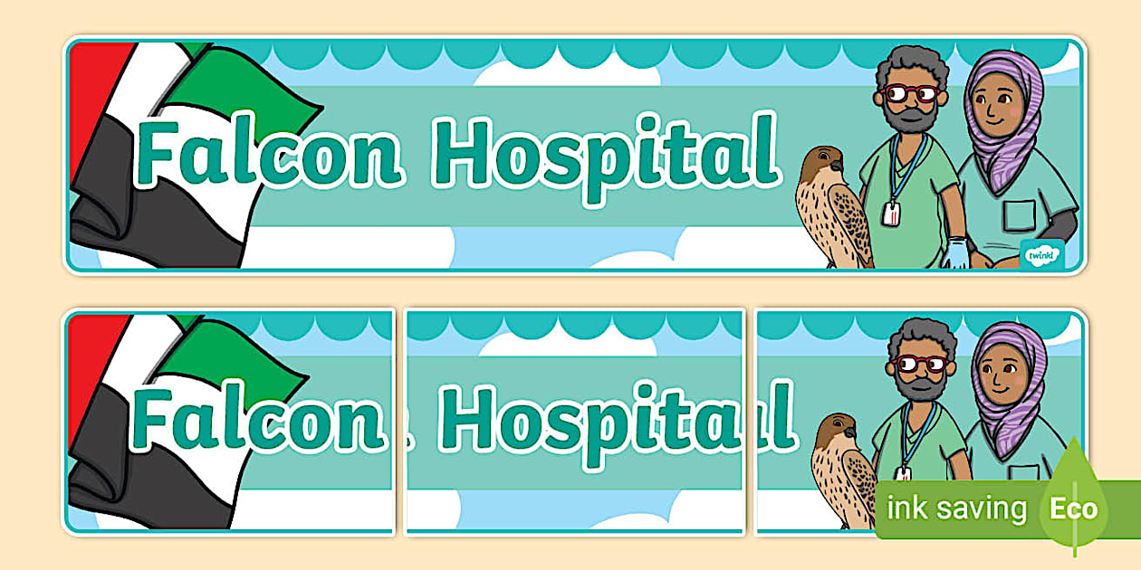 Falcon Hospital Role Play Display Banner (professor feito)
