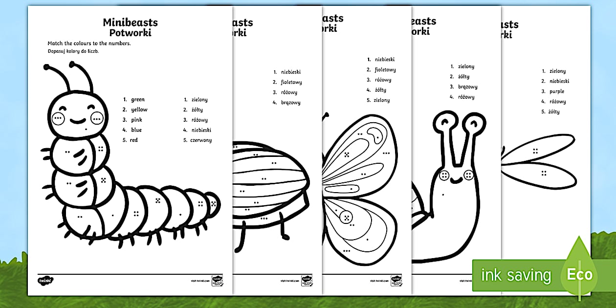 Minibeasts Colour by Number Counting Worksheet English/Polish - Minibeasts