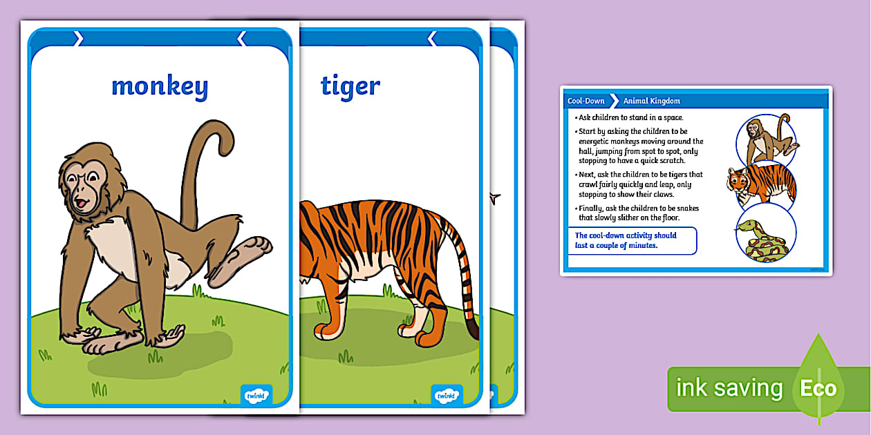 Foundation PE (Reception) Animal Kingdom Cool-Down Activity