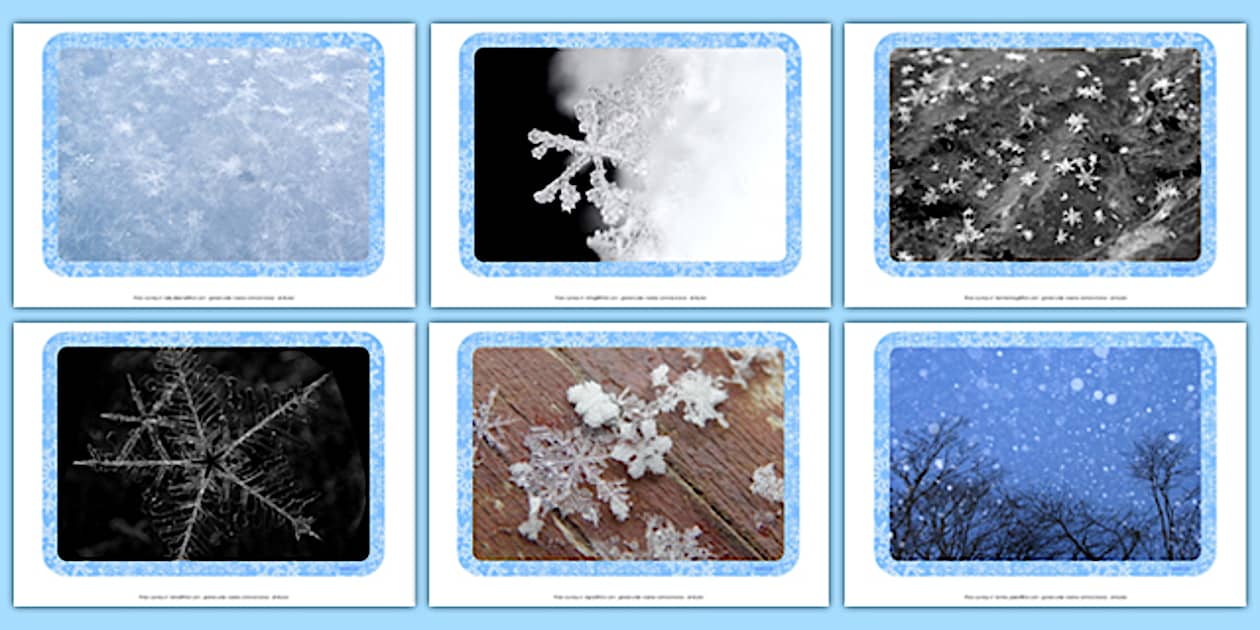 Snowflake Display Photos (teacher made) - Twinkl