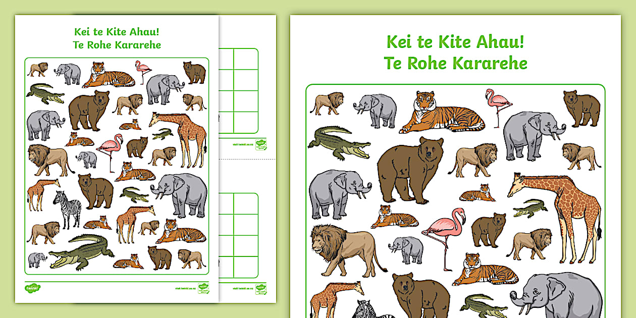 Kei te kite ahau! Te Rohe Kararehe (teacher made) - Twinkl