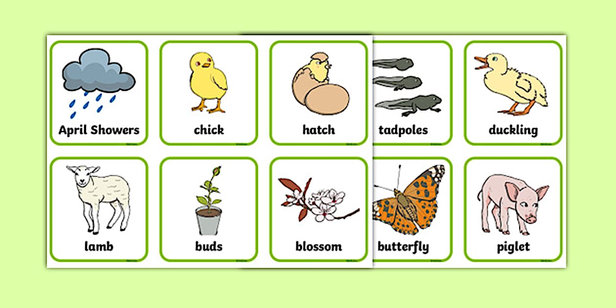 Spring Pairs Matching Game (teacher made) - Twinkl