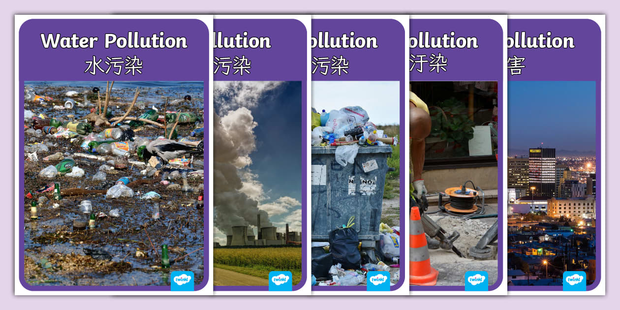 Types of Pollution Posters｜中英雙語 - Twinkl