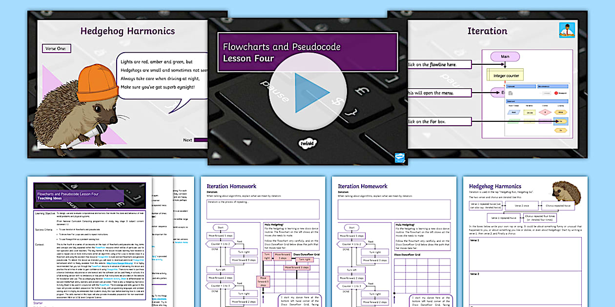 Flowcharts and Pseudocode: Lesson 4 (teacher made) - Twinkl Flowcharts and Pseudocode: Lesson 4 (teacher made) - Twinkl
