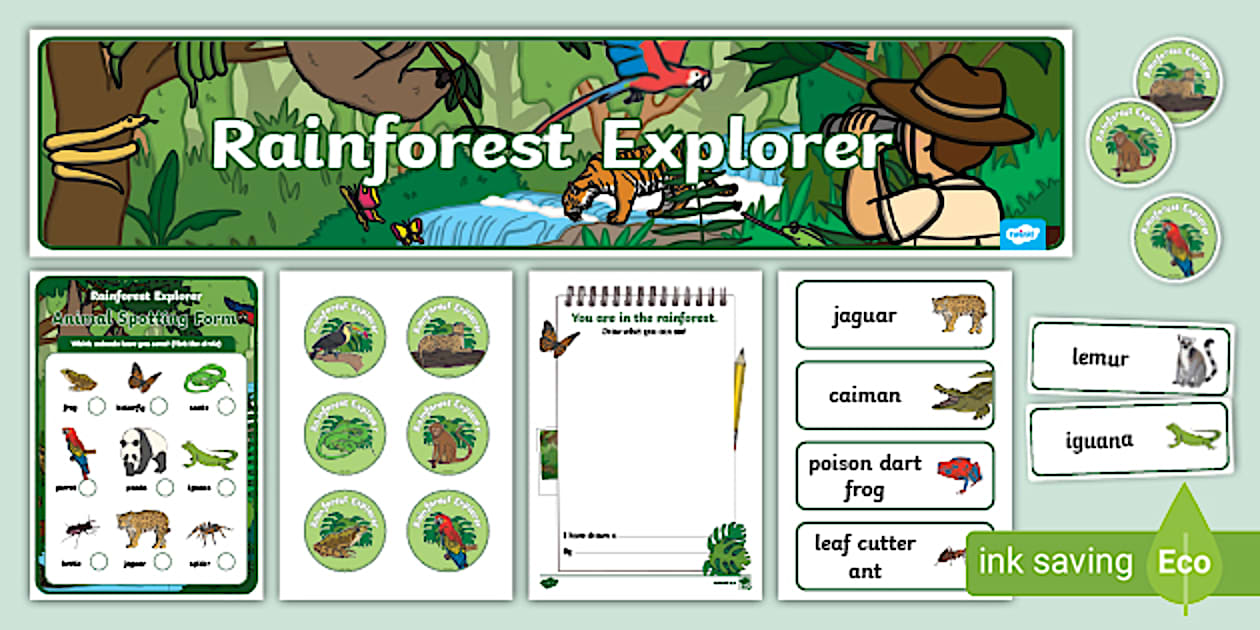 Rainforest Explorer Role Play Pack (teacher made) - Twinkl