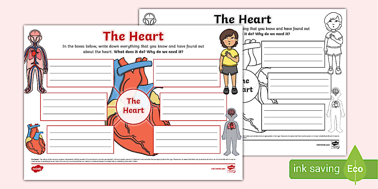Heart Mind Map | Heart KS1 | Science Resources KS1 - Twinkl