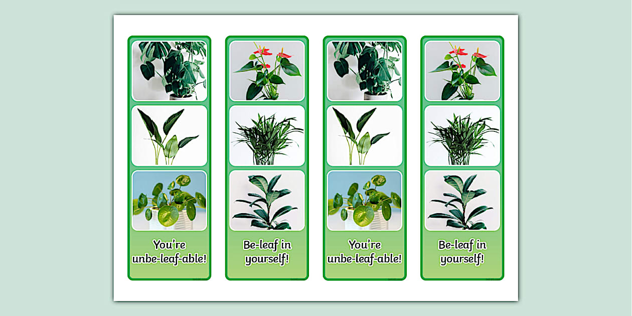 Plant Photo Strip Bookmarks (teacher made) - Twinkl
